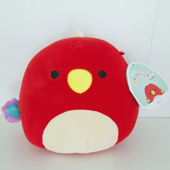 Squishmallows | Toys | Squishmallow Paco The Parrot 7in | Poshmark